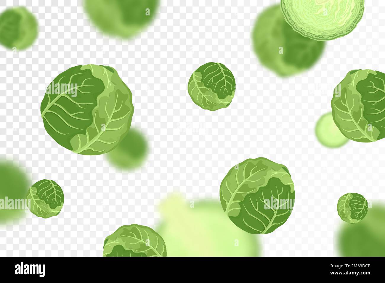 Cabbage background. Flying or falling fresh cabbage isolated on ...