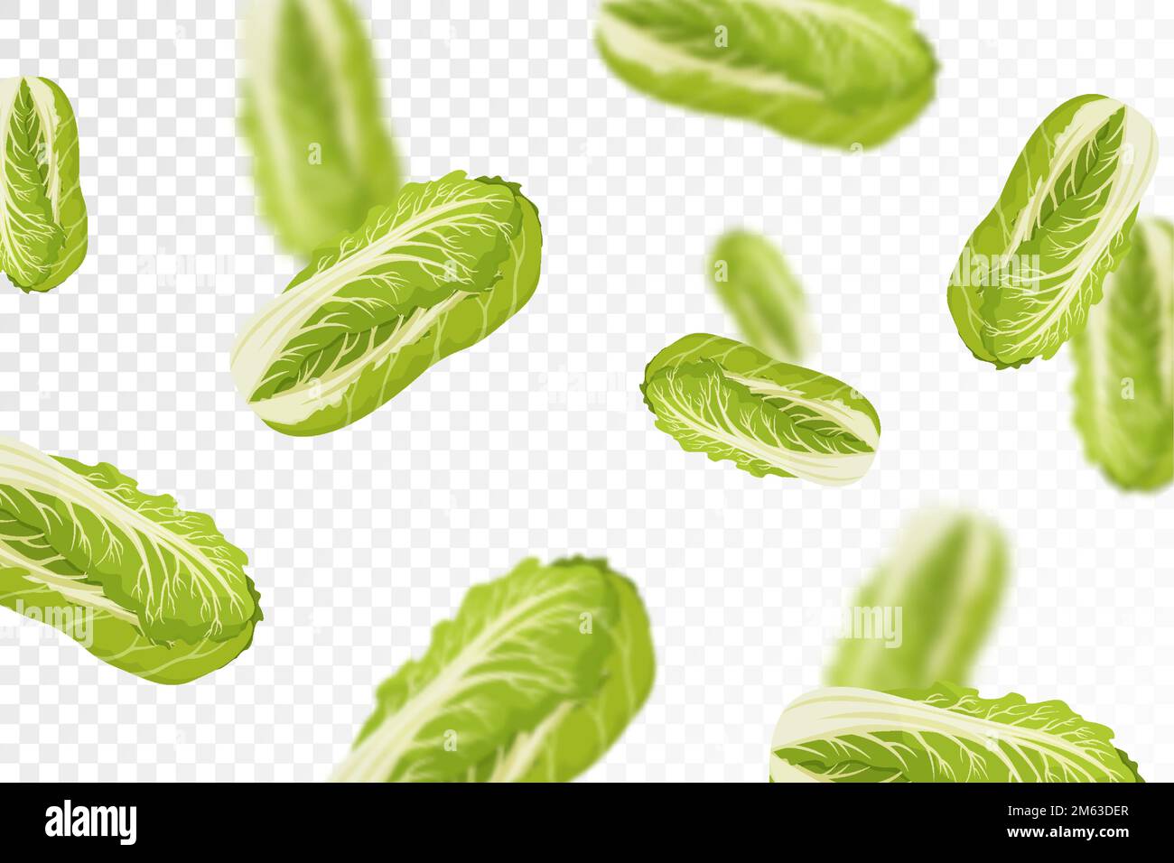 Chinese cabbage background. Flying or falling fresh cabbage isolated on ...
