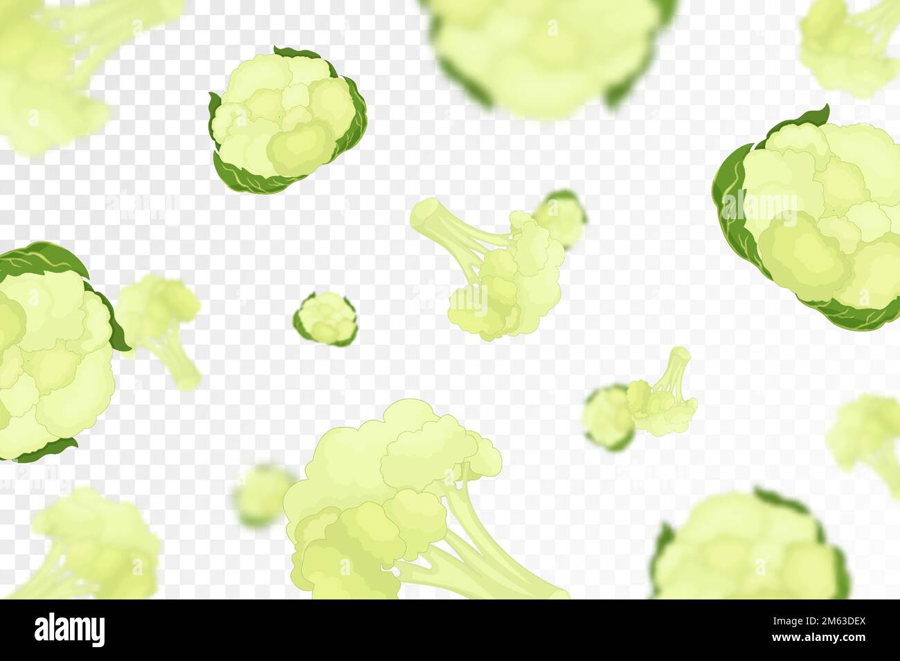 Cauliflower background. Flying fresh cauliflower on transparent ...