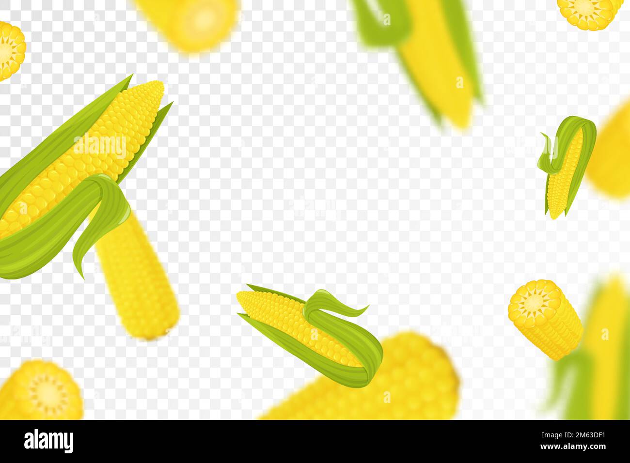 Corn background. Flying fresh yellow ripe corn on transparent ...