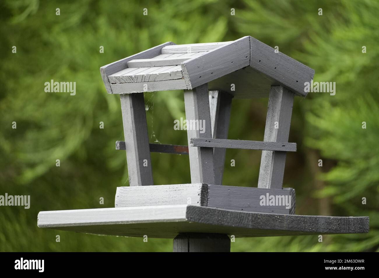 Gray lining bird feeder with a green background Stock Photo - Alamy