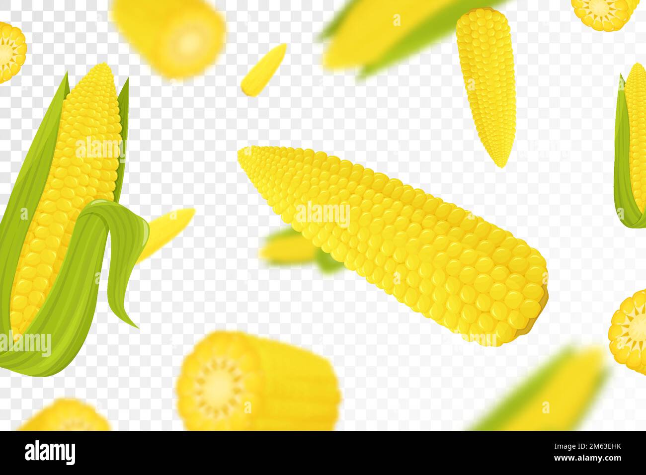Corn background. Flying fresh yellow ripe corn on transparent ...