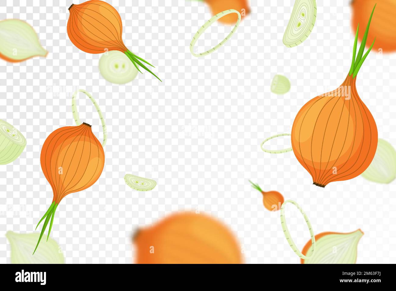 Falling onion, isolated on transparent background. Flying whole and ...