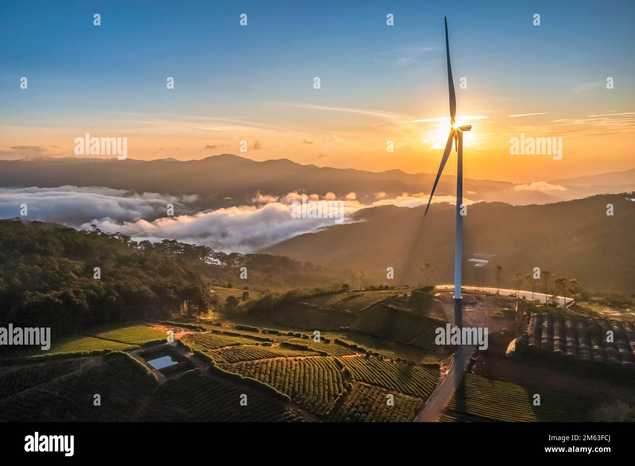 PANORAMIC VIEW OF WIND FARM OR WIND PARK, WITH HIGH WIND TURBINES FOR ...