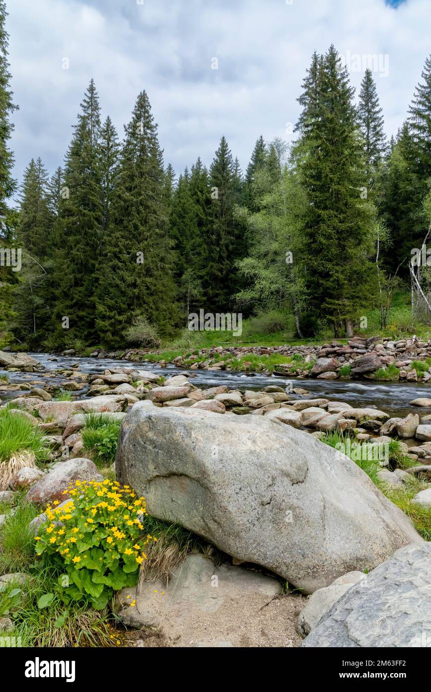 Sumava national park hi-res stock photography and images - Alamy