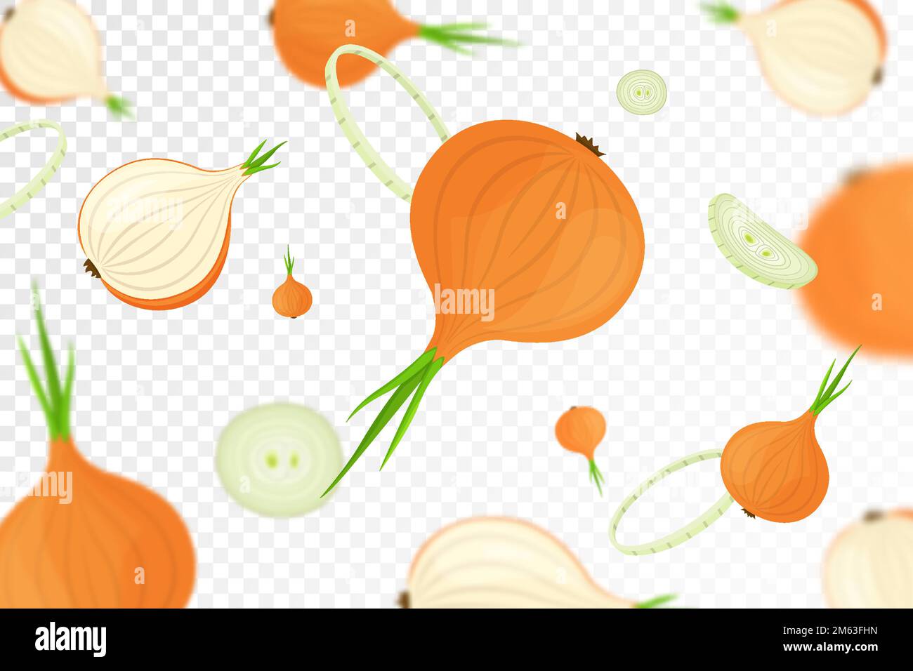 Falling onion, isolated on transparent background. Flying whole and ...