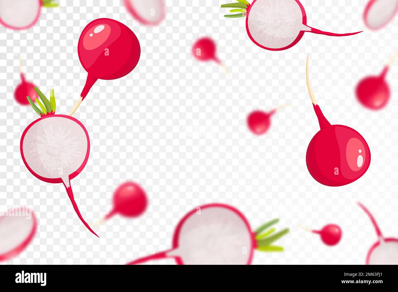 Radish background. Flying or falling fresh radish isolated on ...