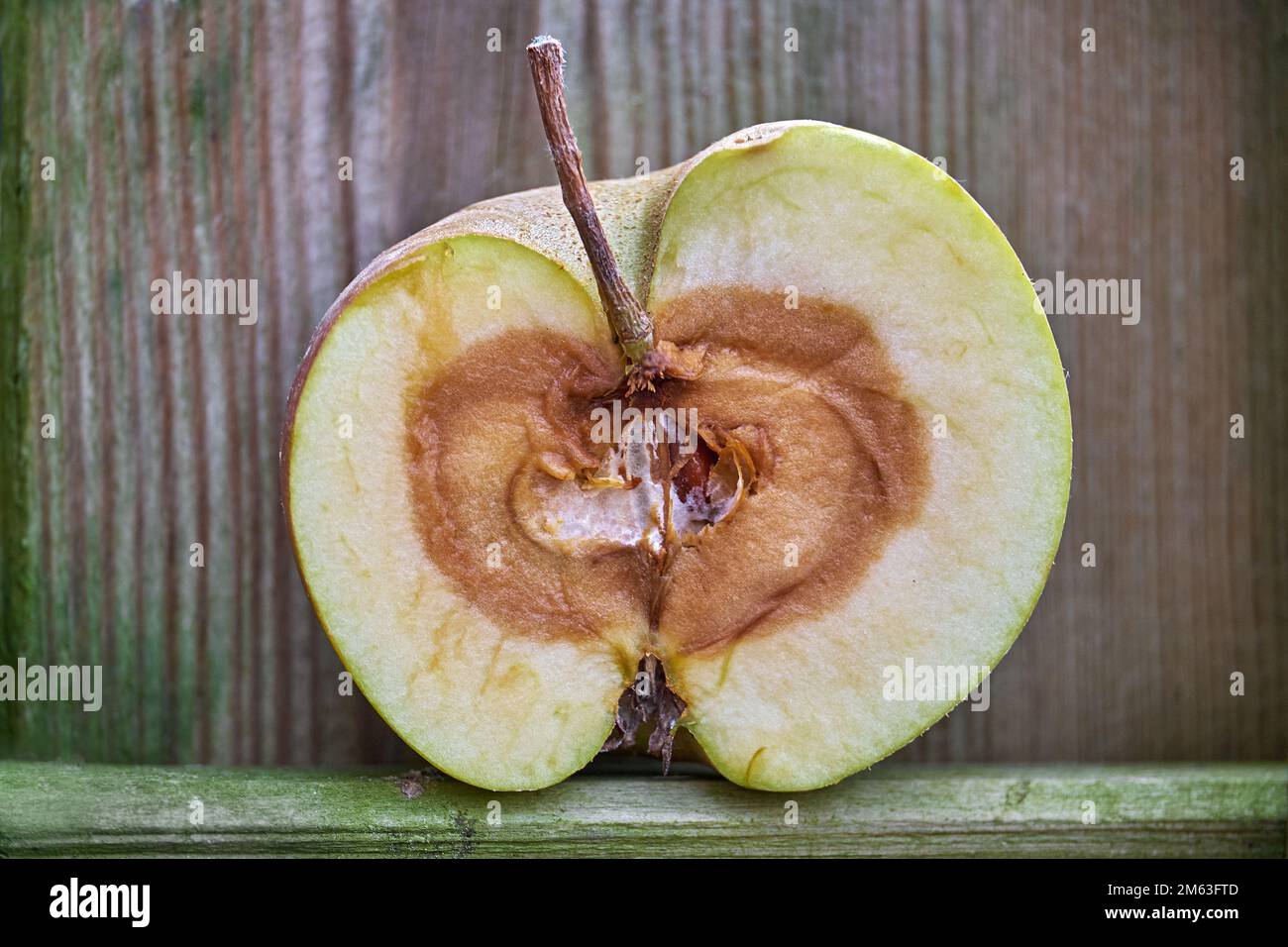 Half rotten hi-res stock photography and images - Alamy