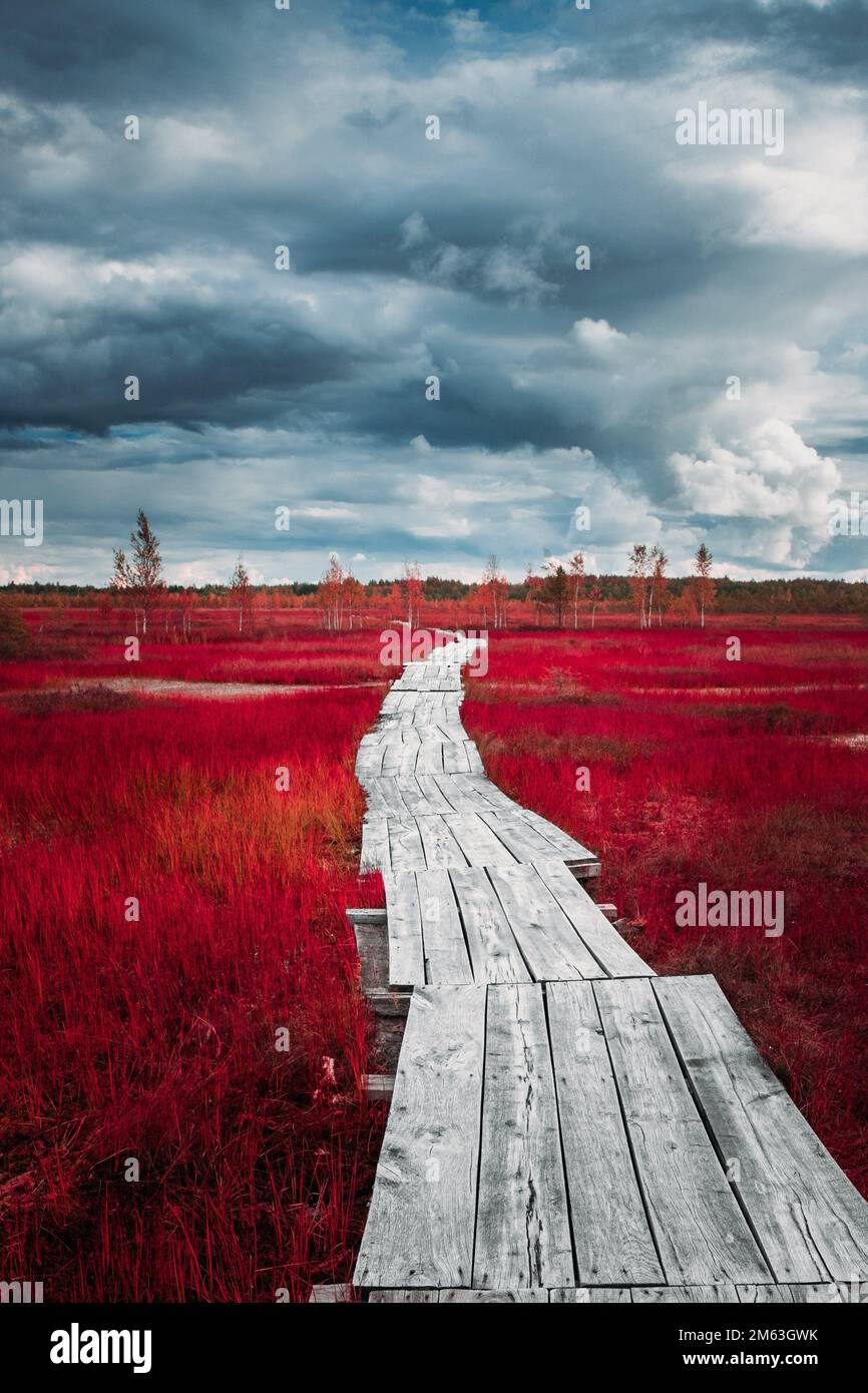 Fantasy bright hi-res stock photography and images - Alamy