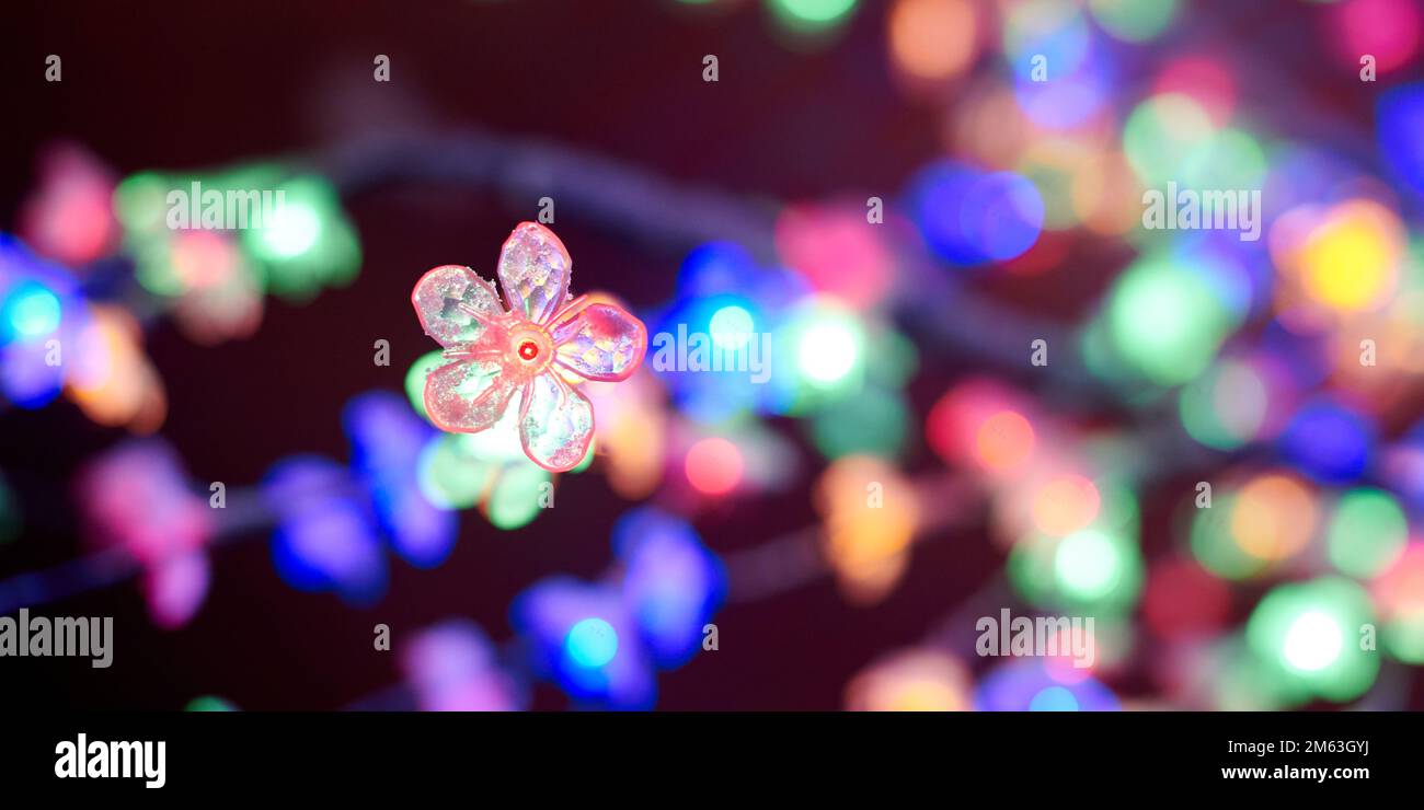 Multicolored lights bokeh from decorative luminous flowers garlands at ...