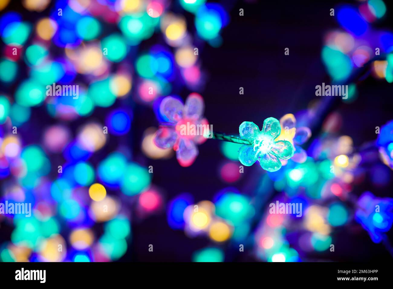 Colorful lights bokeh from decorative luminous flowers garlands at ...