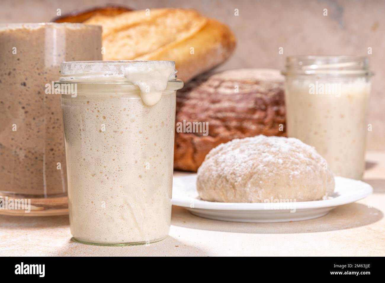 Healthy lifestyle, gluten free fermenting diet. Homemade sourdough ...