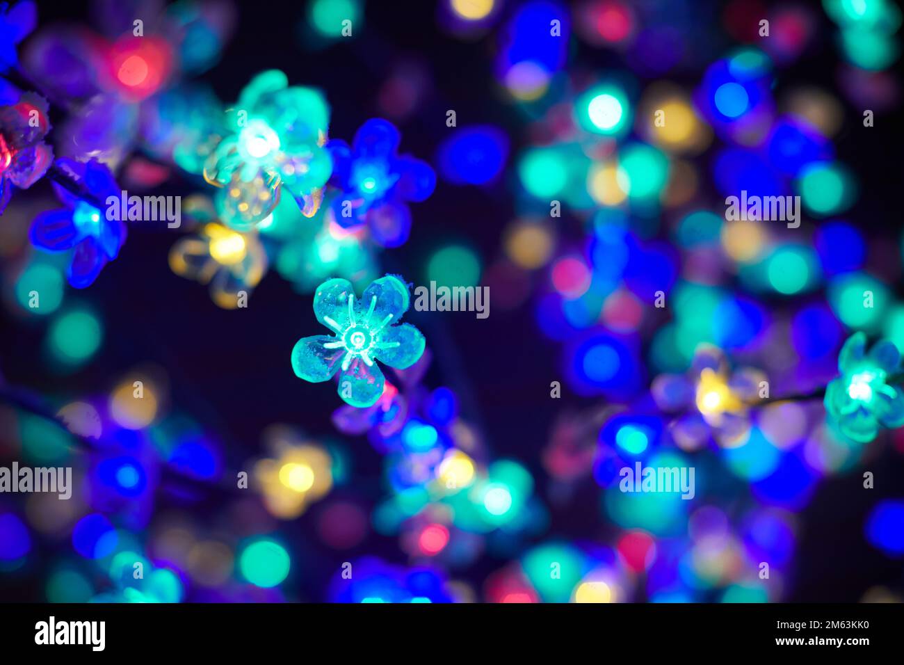 Multicolored lights bokeh from decorative luminous flowers garlands at ...