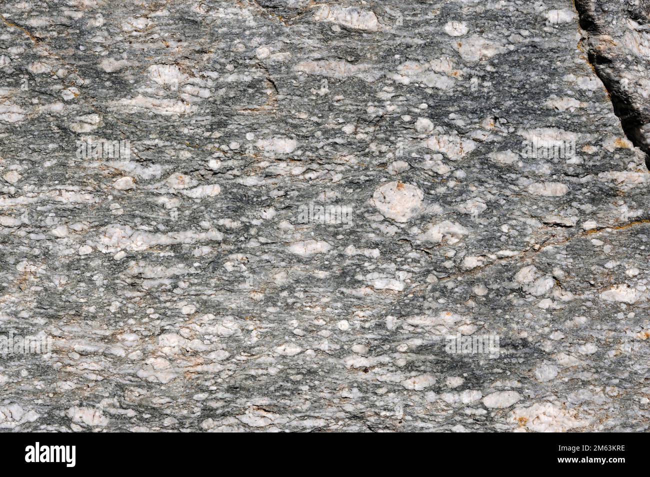 Granite Gneiss