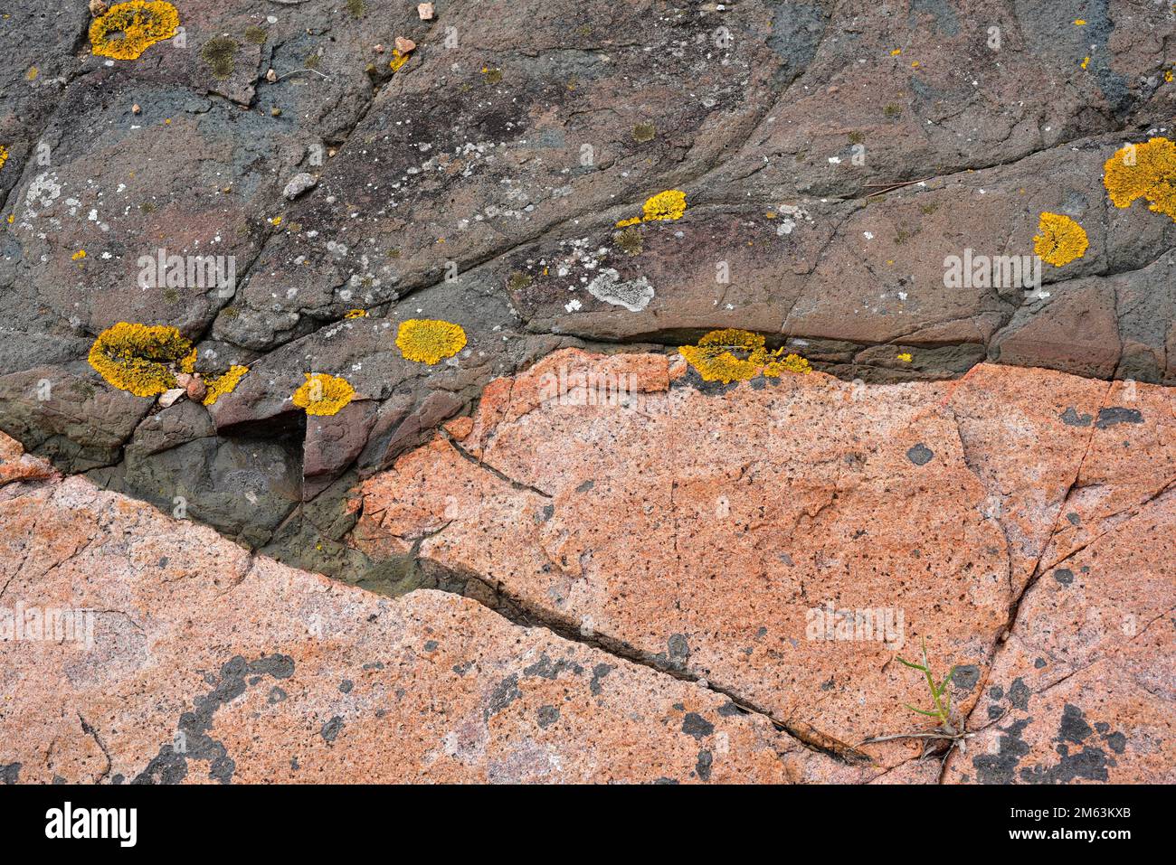 Dike of lamprophyre in contact with pink granite. Lamprophyre (dark) is ...