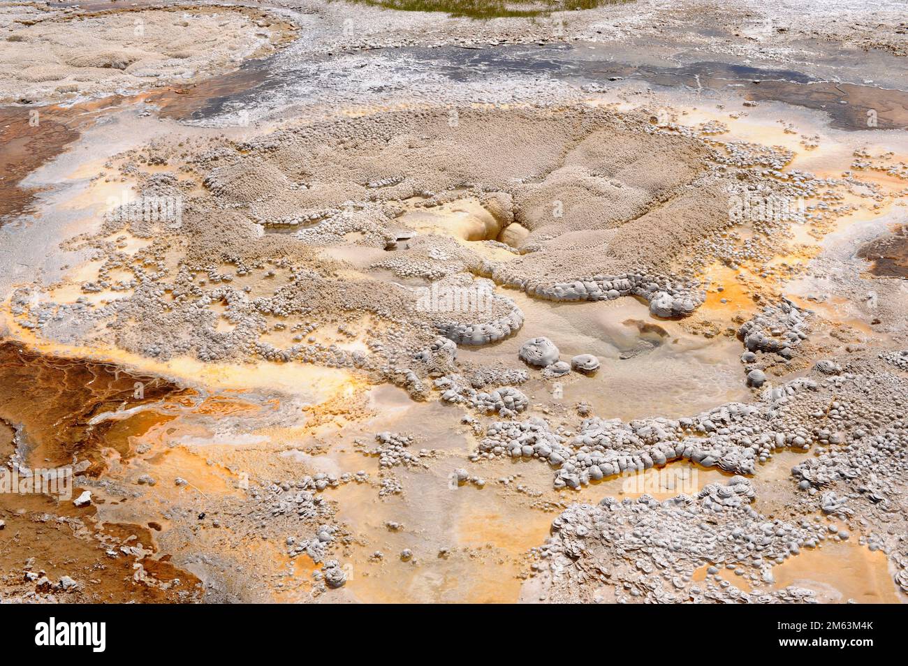 Geyser anemone hi-res stock photography and images - Alamy