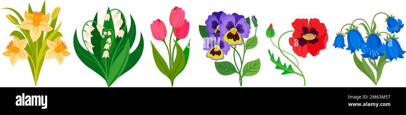 Cartoon spring wild flowers, colored floral set of spring floral and ...