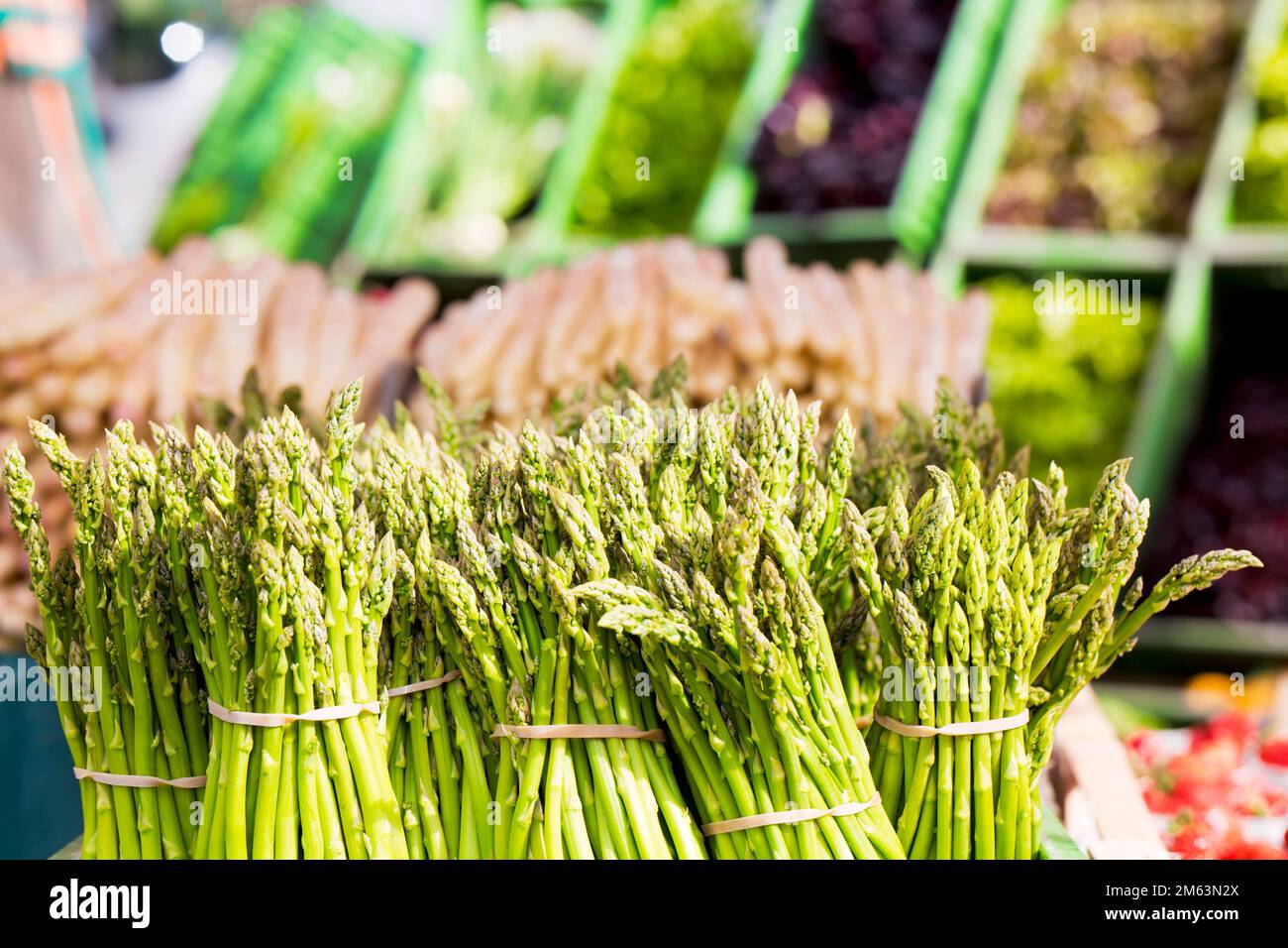 White asparagus germany hi-res stock photography and images - Alamy