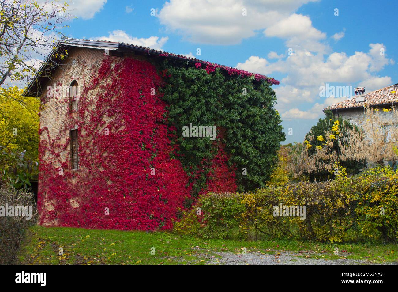 old barn with red and green ivy Stock Photo - Alamy