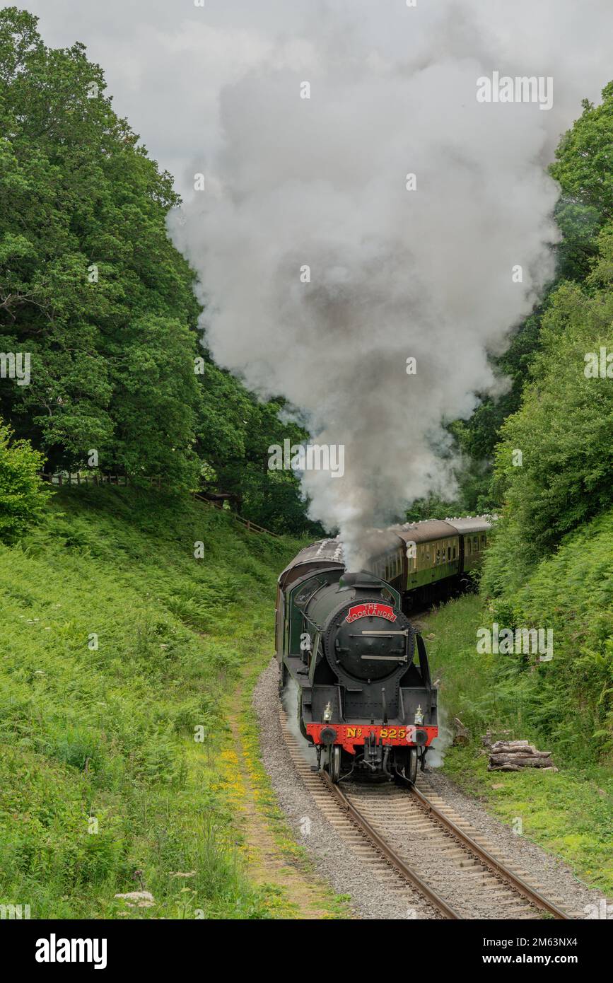Steam train on the North Yorkshire Moors Railway UK. Vintage train ...