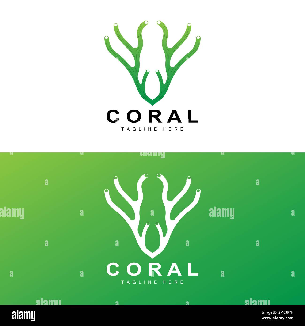 Fish sea animals plants seaweed hi-res stock photography and images - Alamy