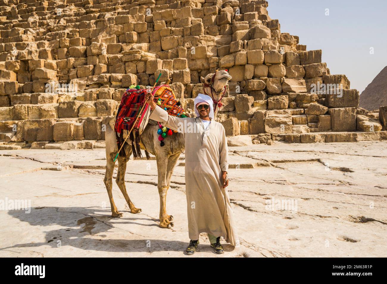 Indian ocean camel hi-res stock photography and images - Alamy