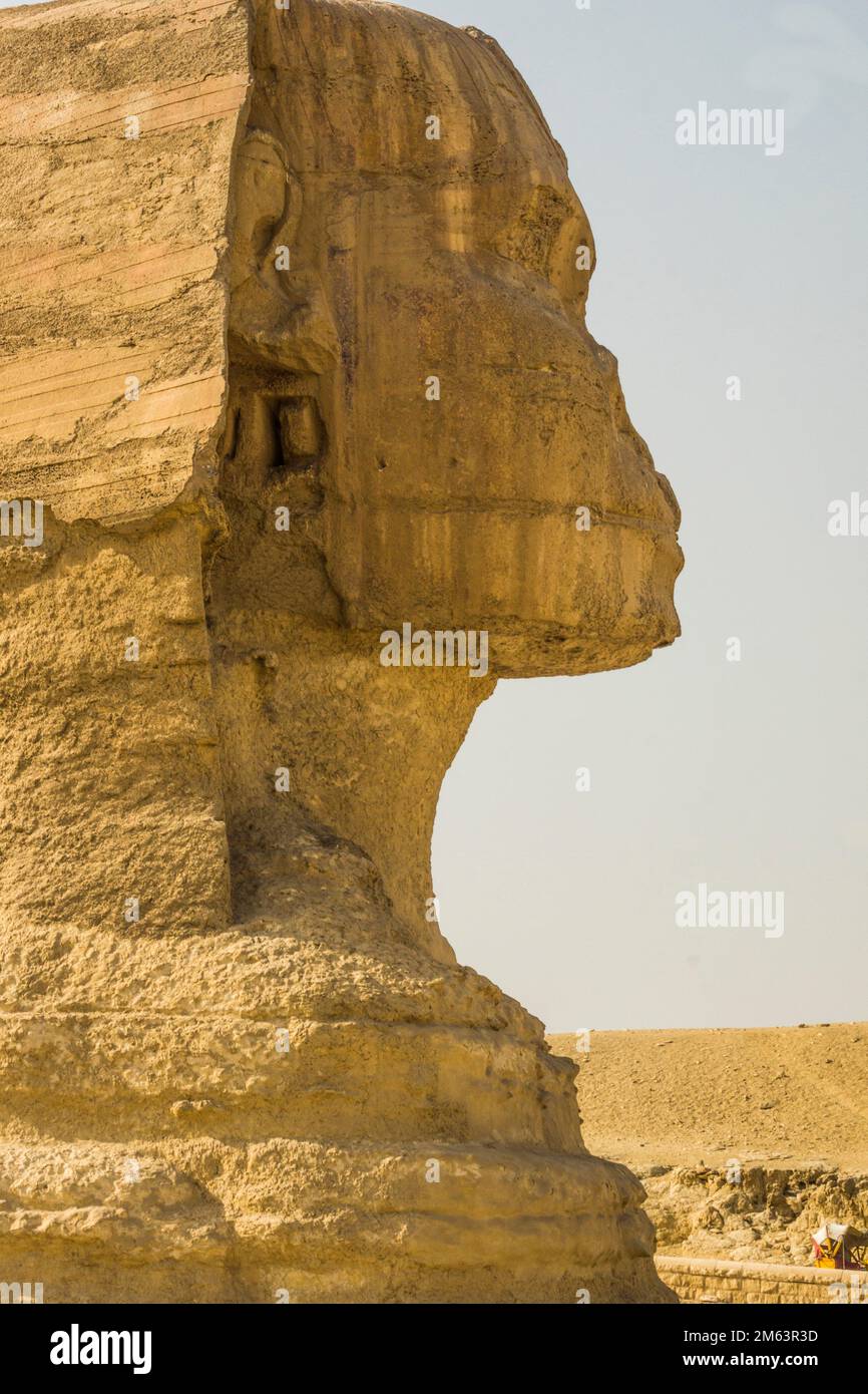 Profile of sphinx hi-res stock photography and images - Alamy