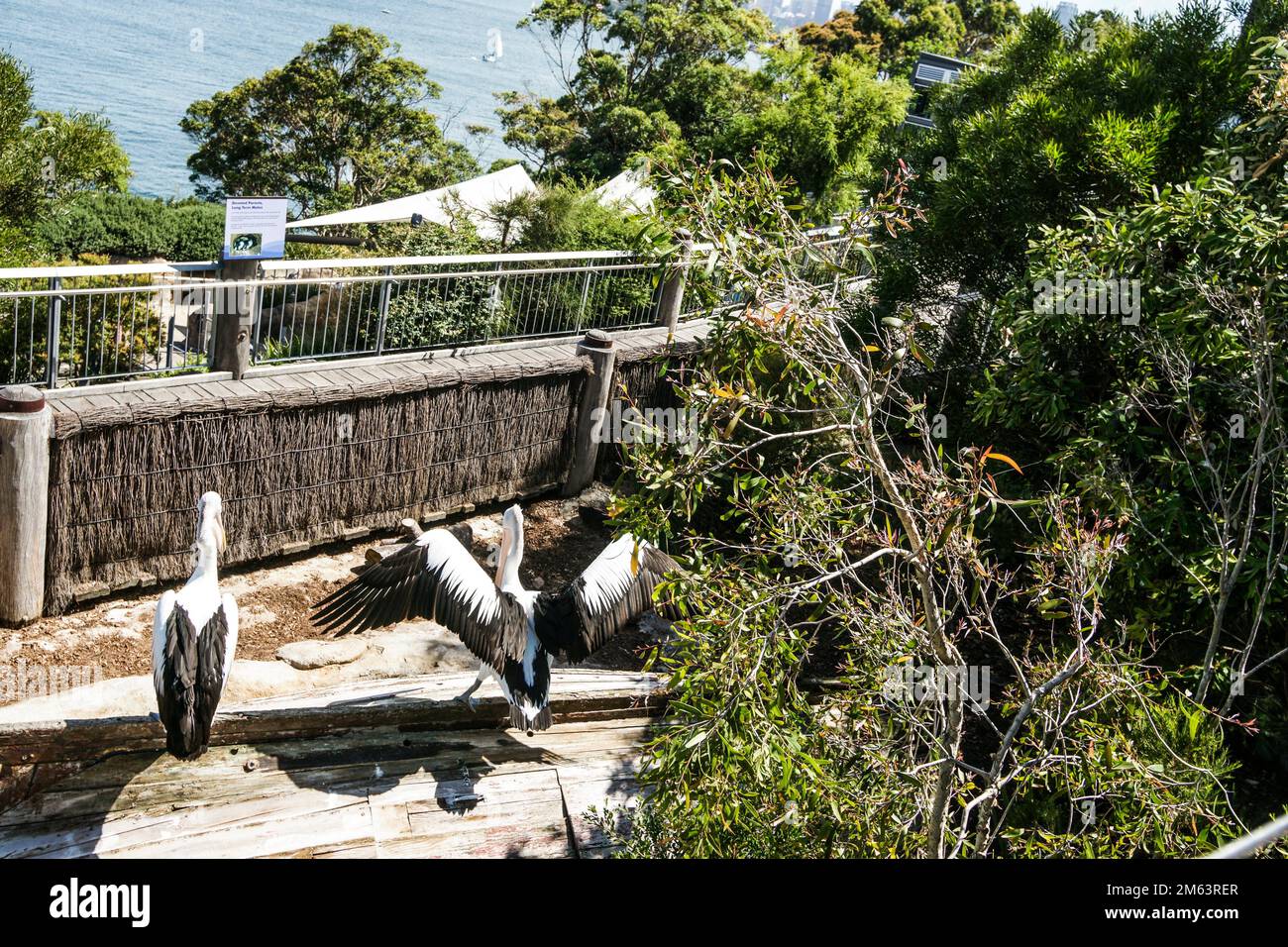 Zoo south australia hi-res stock photography and images - Alamy