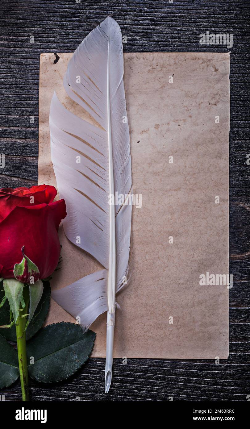 Vintage paper red natural rose feather on wooden board Stock Photo - Alamy