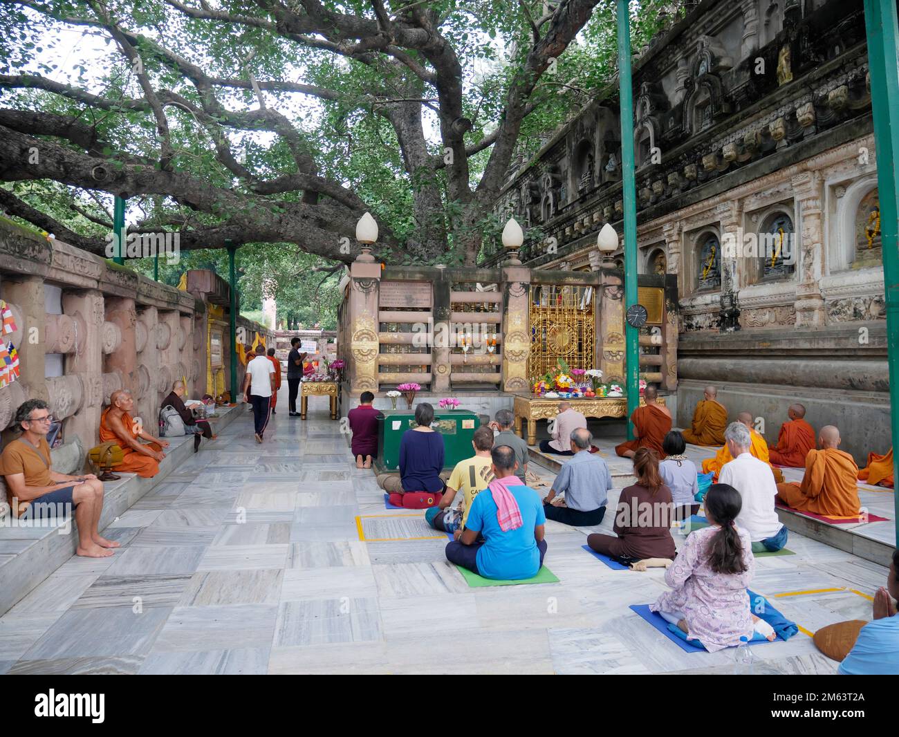 LAY PEOPLE AND MONKS MEDITATINGINSIDE THE MAHABODHI TEMPLE, BODHGAYA ...