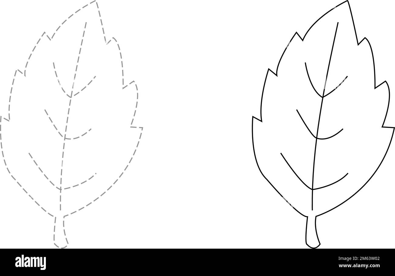 Trace and color for kids, leaf vector Stock Vector Image & Art - Alamy