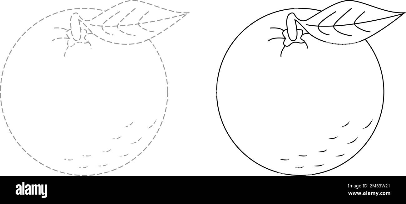 Trace and color for kids, orange vector Stock Vector Image & Art - Alamy