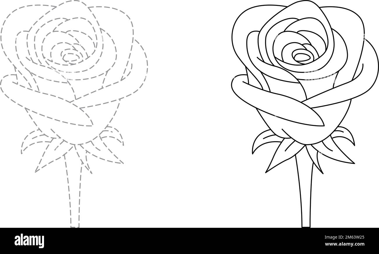 Trace and color for kids, rose vector Stock Vector Image & Art - Alamy