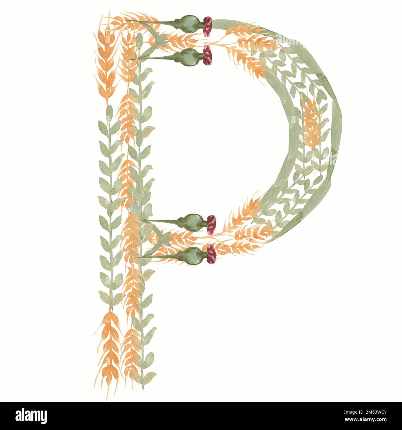 Watercolor Floral Monogram Letter P. hand drawn ABC alphabet ...