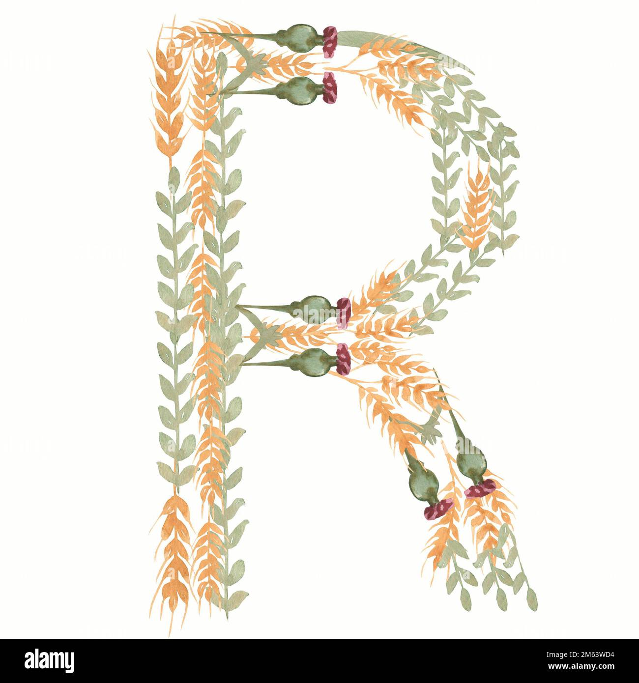 Watercolor Floral Monogram Letter R. hand drawn ABC alphabet ...