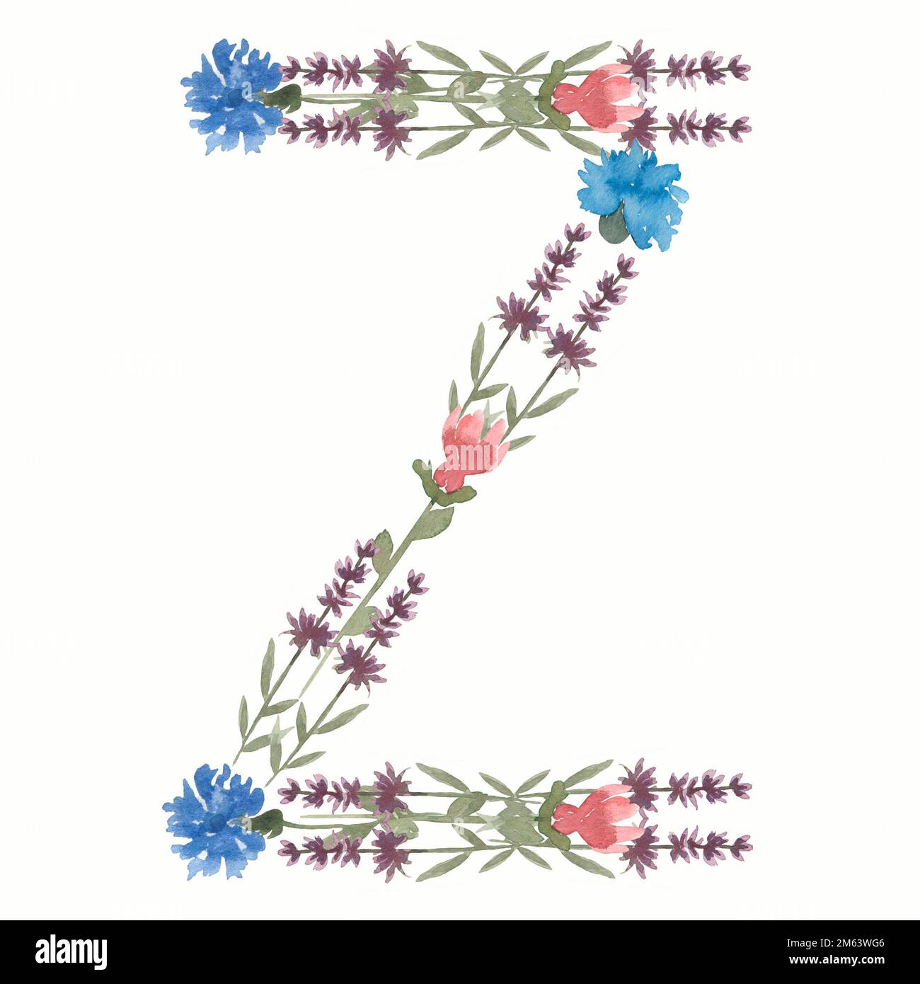Watercolor Floral Monogram Letter Z. hand drawn ABC alphabet ...
