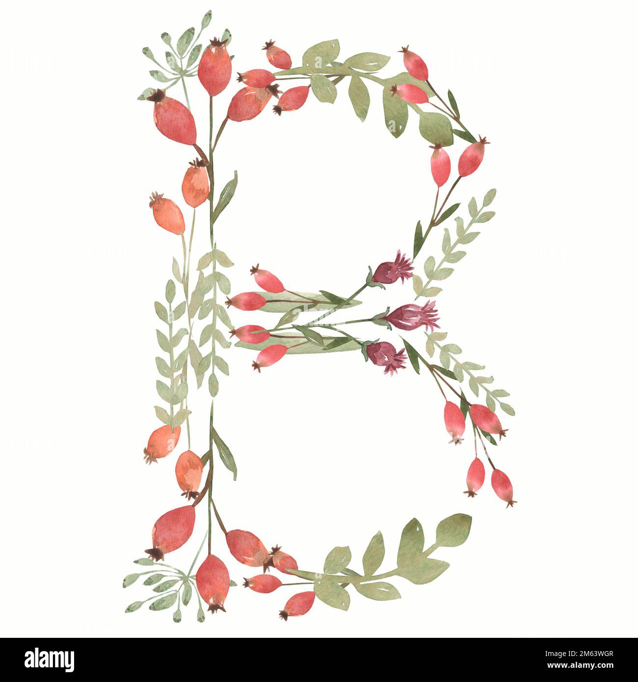Watercolor Floral Monogram Letter B. hand drawn ABC alphabet ...