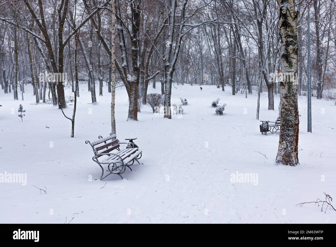 Beautiful winter landscape of a snowy city park after a snowfall. View ...