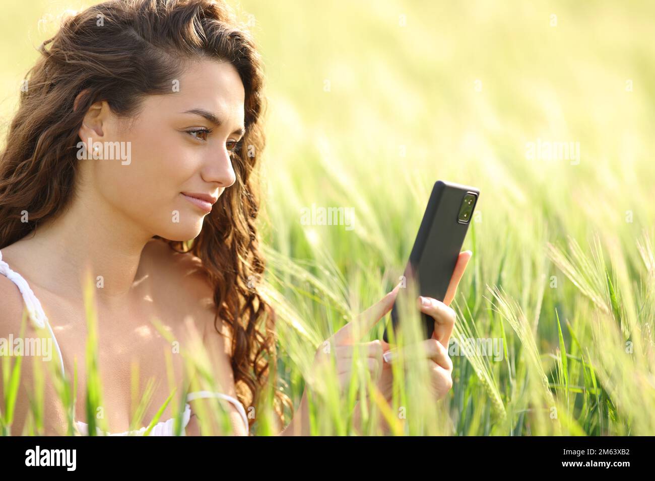 Field checking hi-res stock photography and images - Alamy