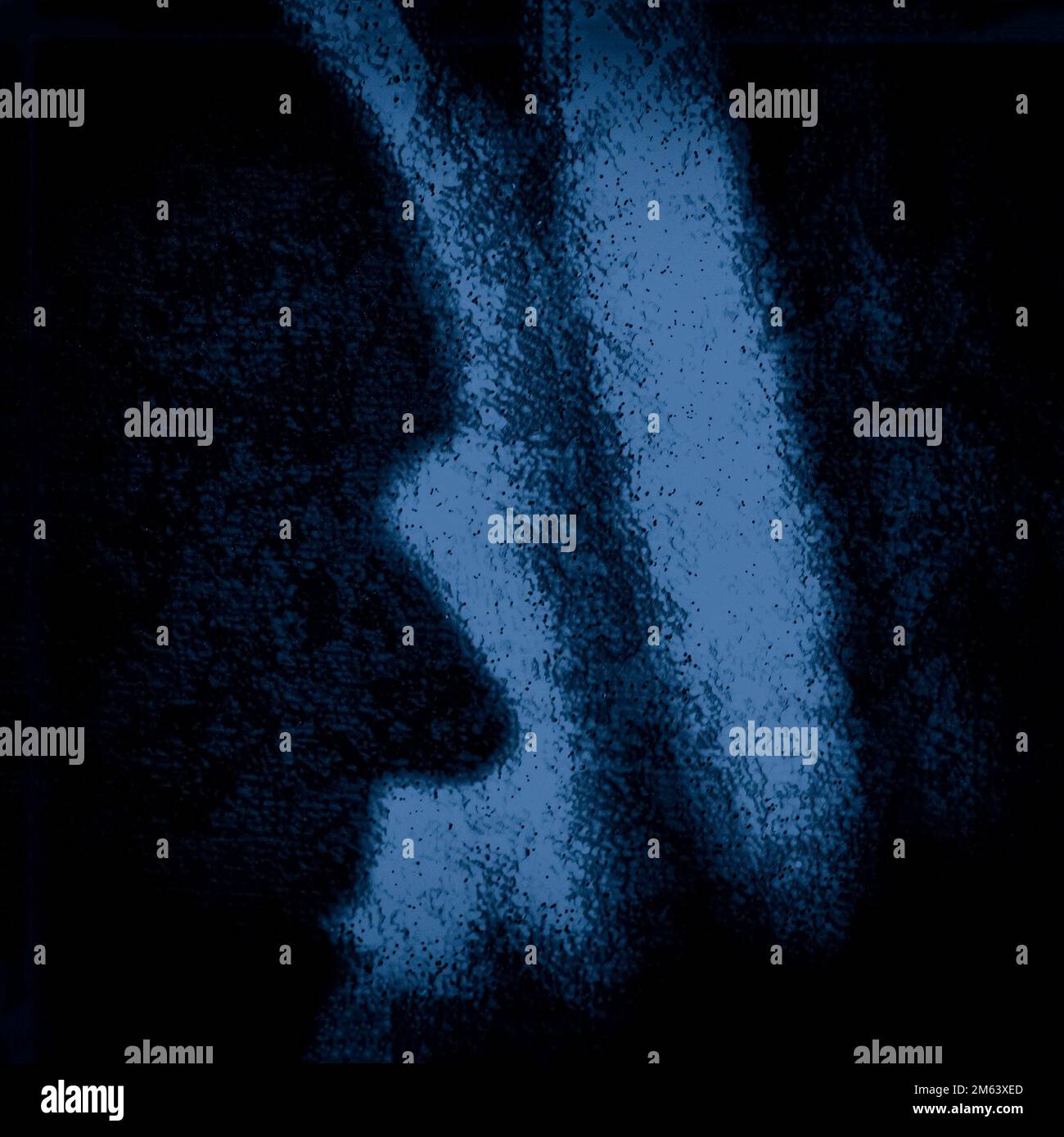 A profile shadow of a face on a room wall with a guitar as an ...