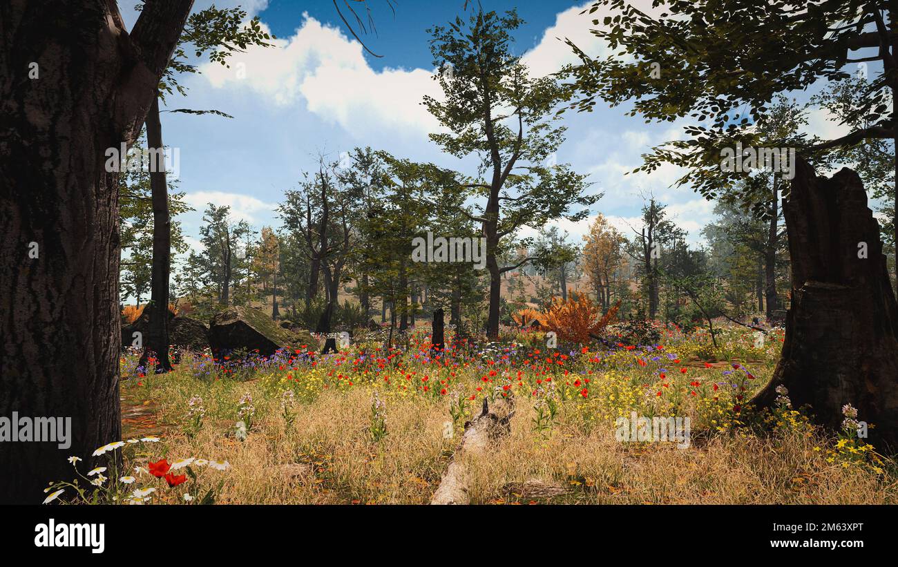 Environment and the natural world hi-res stock photography and images ...