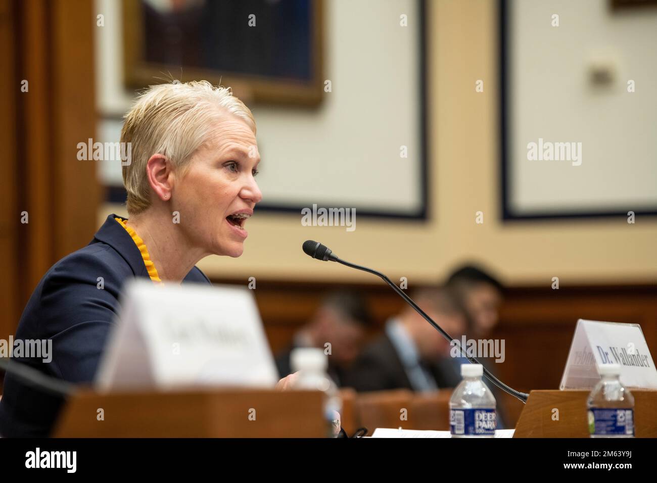 Assistant Secretary of Defense for International Security Affairs Dr ...