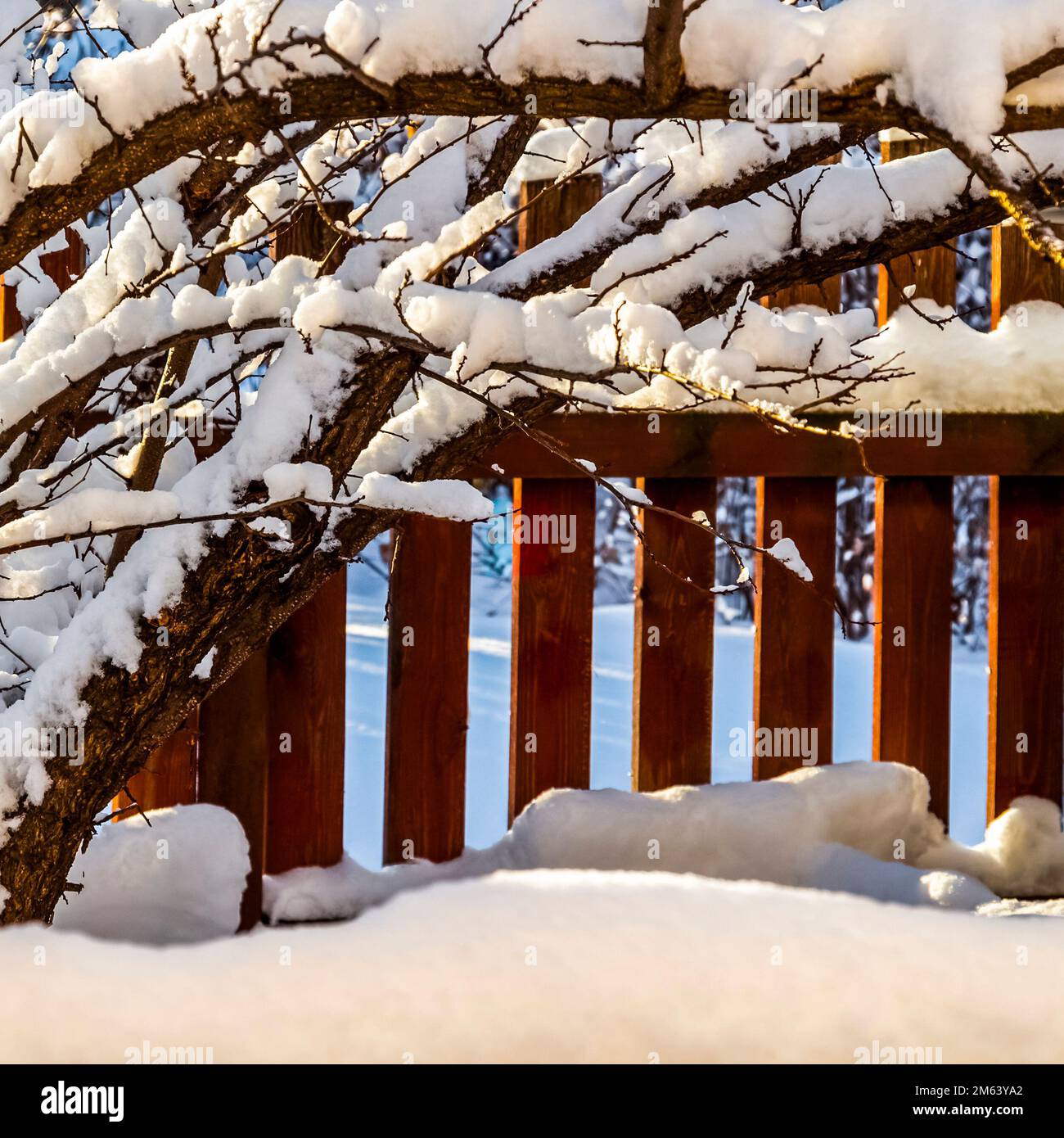 Fresh fluffy snow in the backyard of a rural house Stock Photo - Alamy