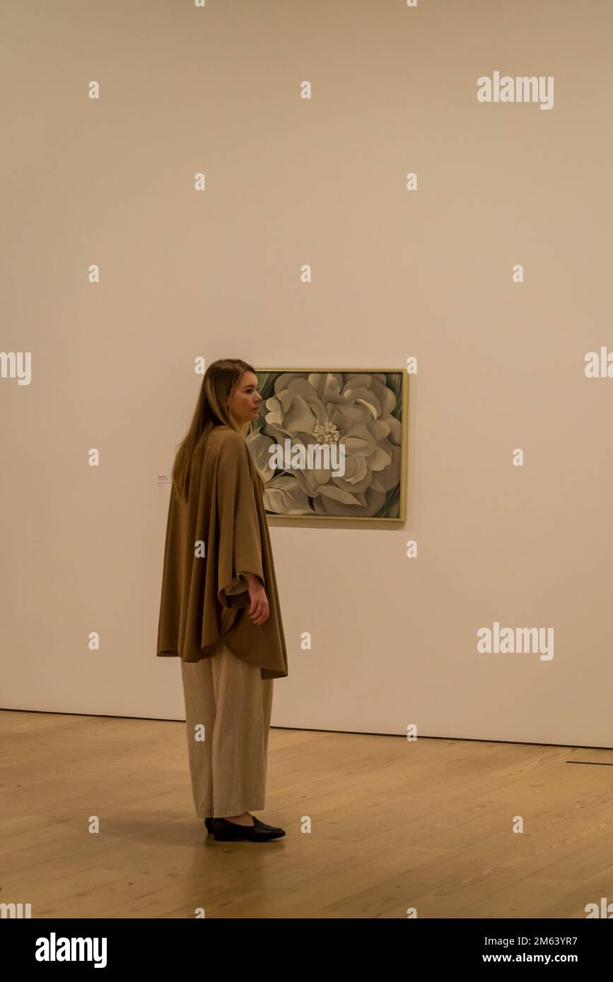 Georgia O'Keeffe painting, Whitney Museum of American Art, focusing on ...