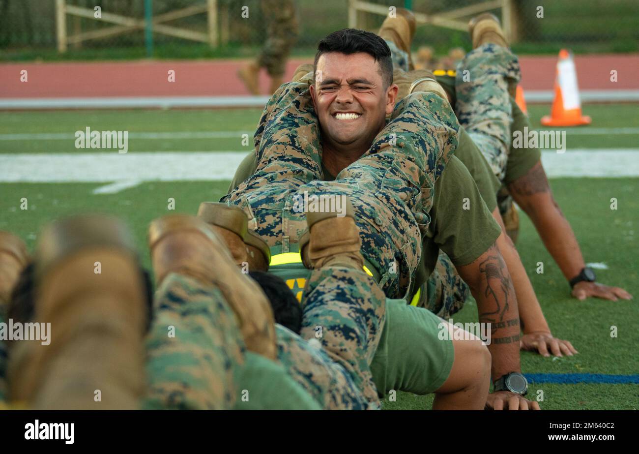 Squad pushups hi-res stock photography and images - Alamy