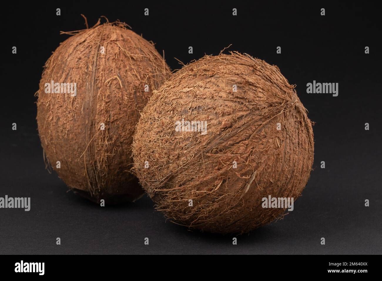 Coconut on dark background. Tropical fruit Stock Photo - Alamy