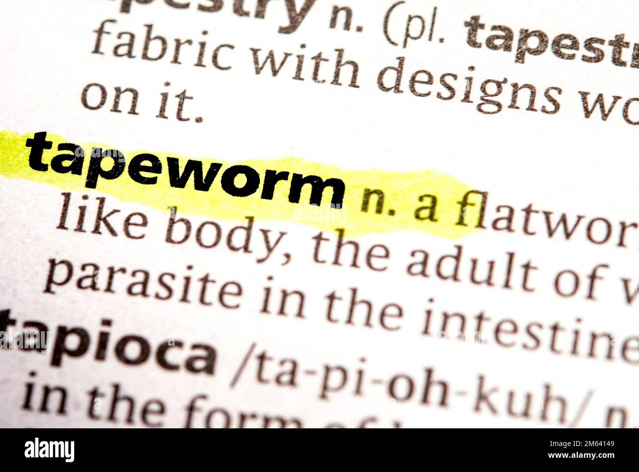 Tape worm hi-res stock photography and images - Alamy