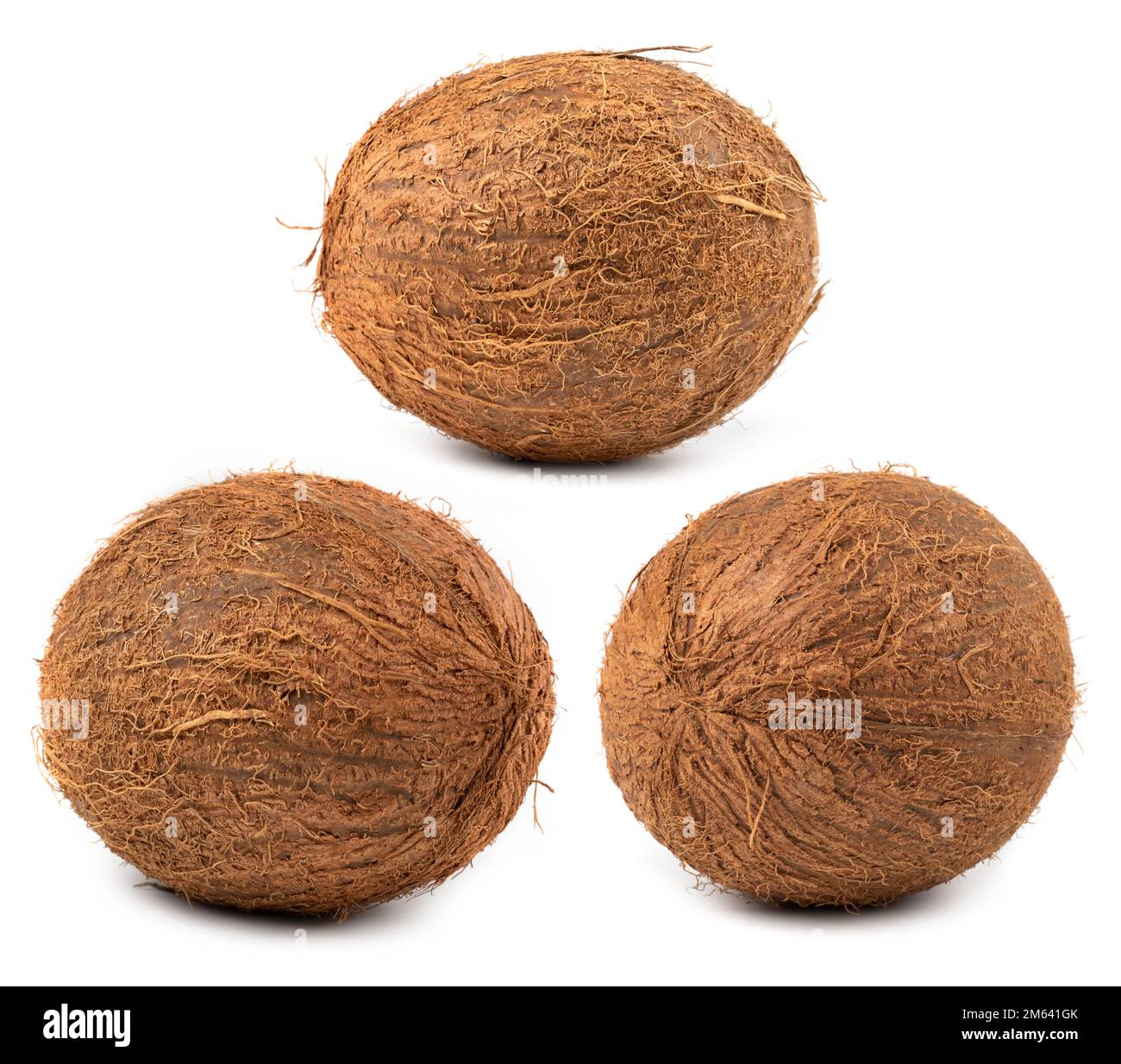 Set coconuts isolated on white background. Collection Stock Photo - Alamy