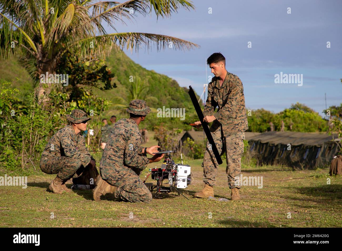 3d intel battalion hi-res stock photography and images - Alamy
