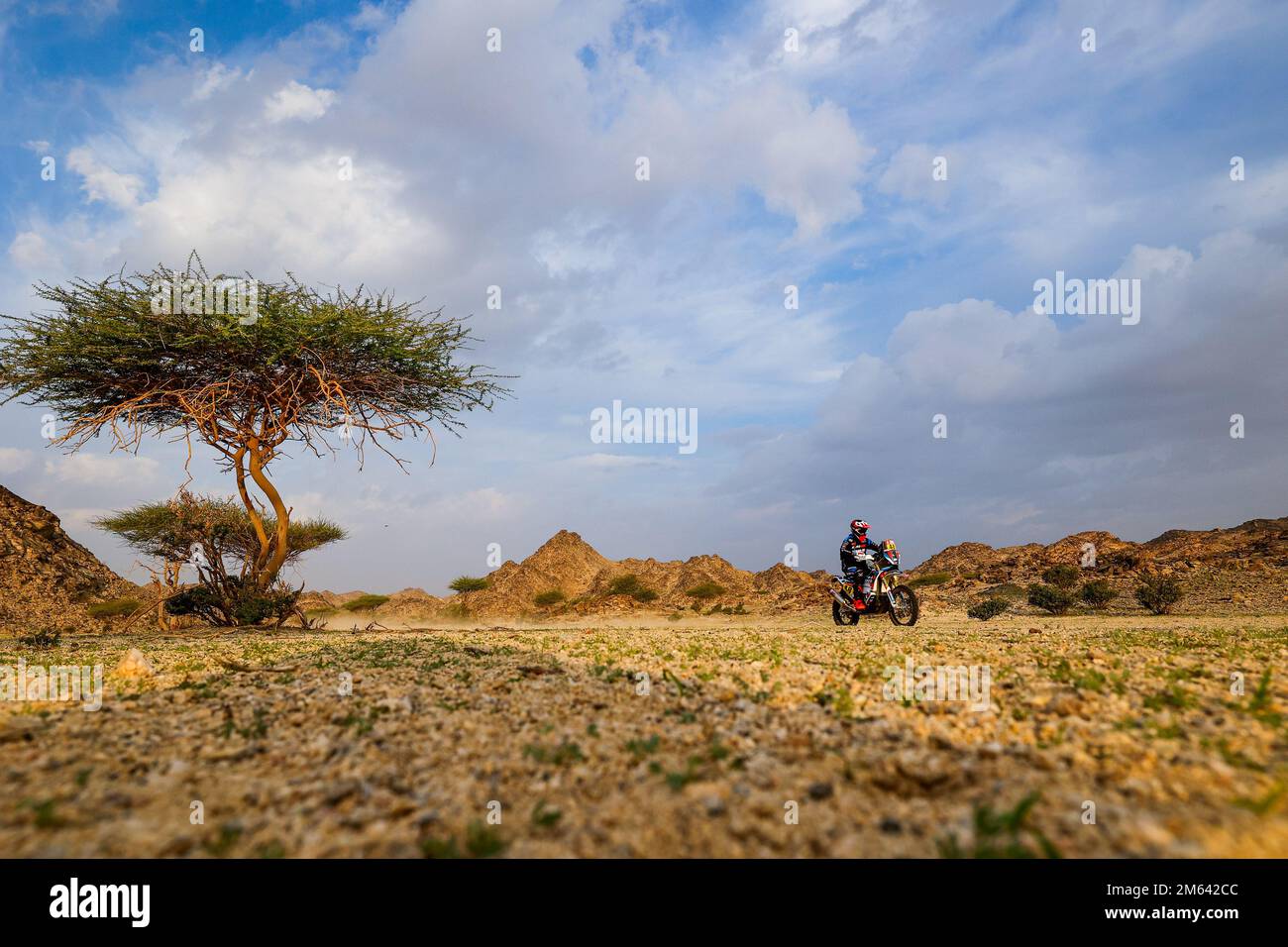 48 PEDREDO GARCIA Joan (spa), Rieju Team, KTM, Moto, Original by Motul ...